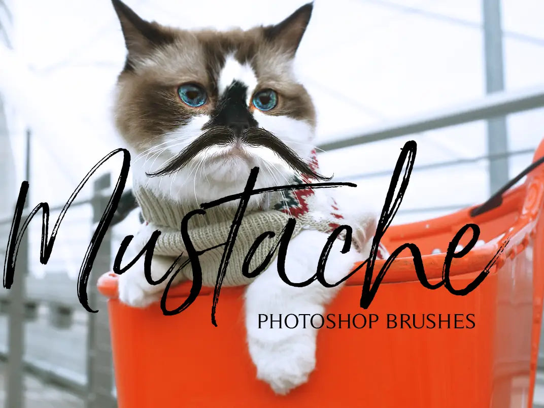 50 Silly Mustache Photoshop Brushes