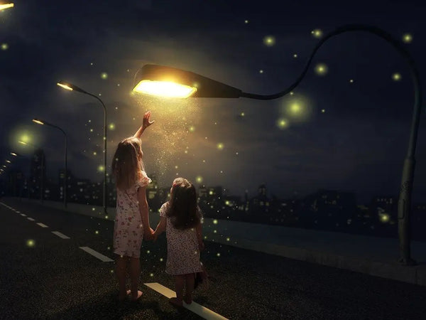 Firefly OVERLAYS and PHOTOSHOP BRUSHES