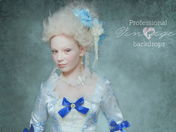 Studio photography backdrops Photo Overlays